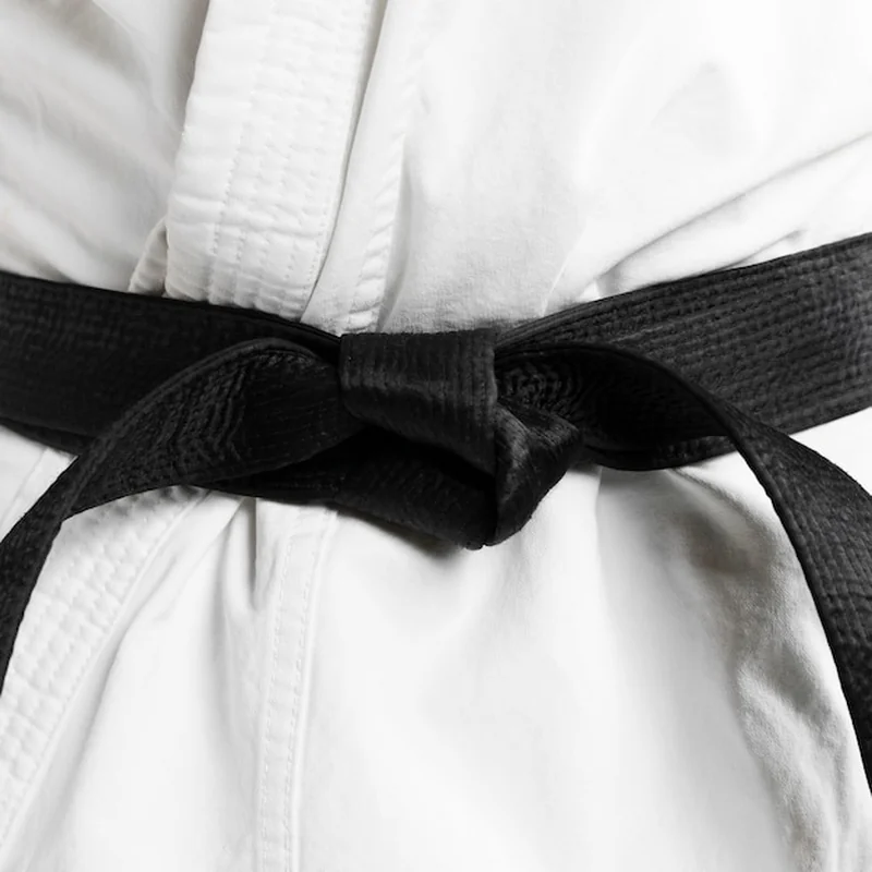 Jakie są pasy w karate? Stopnie w karate kyokushin - Szkoła Karate